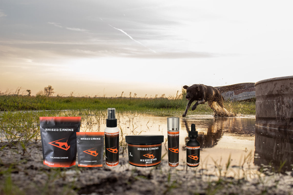 Learn About Our Products