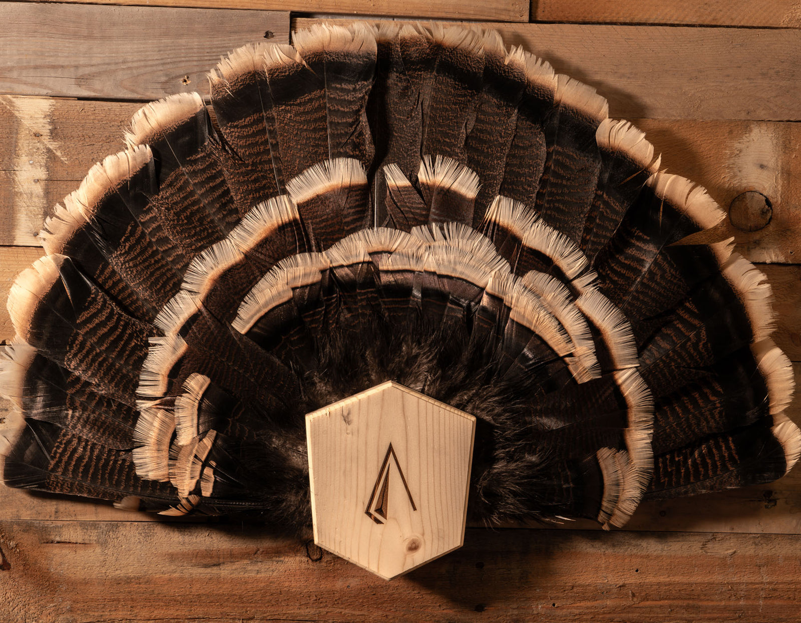 Turkey Fan Mount | Turkey Plaque | Raised Hunting Fan Mount