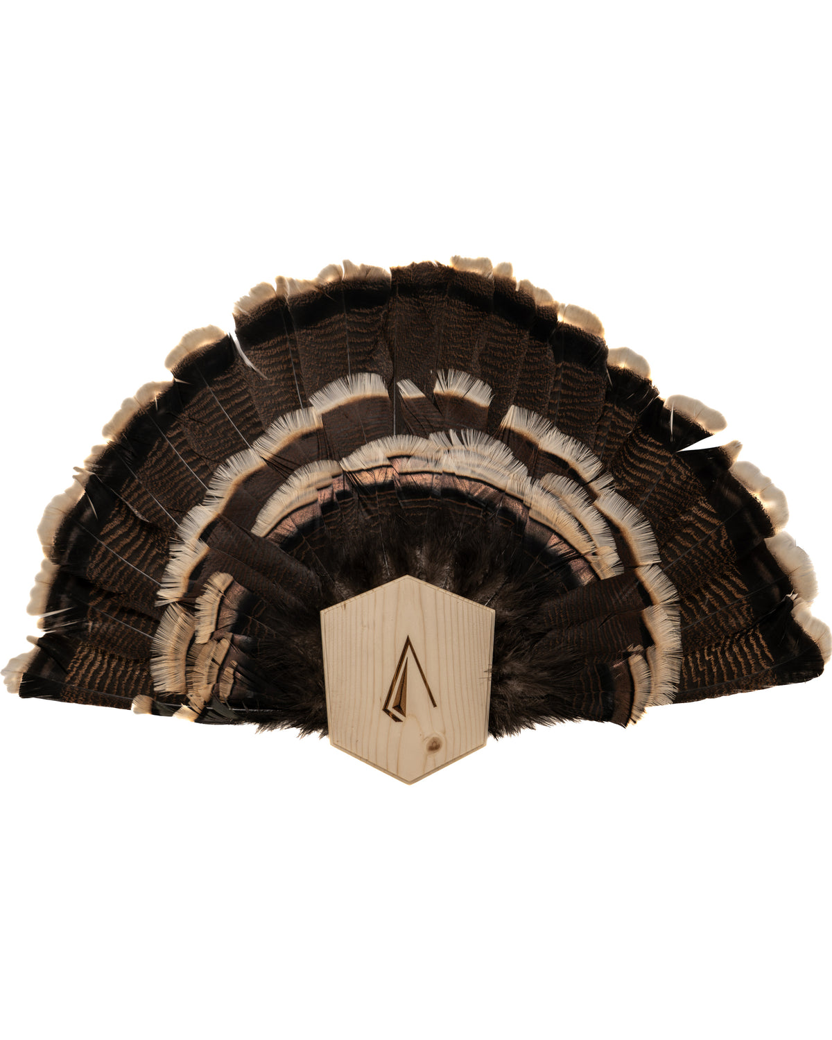 Turkey Fan Mount | Turkey Plaque | Raised Hunting Fan Mount